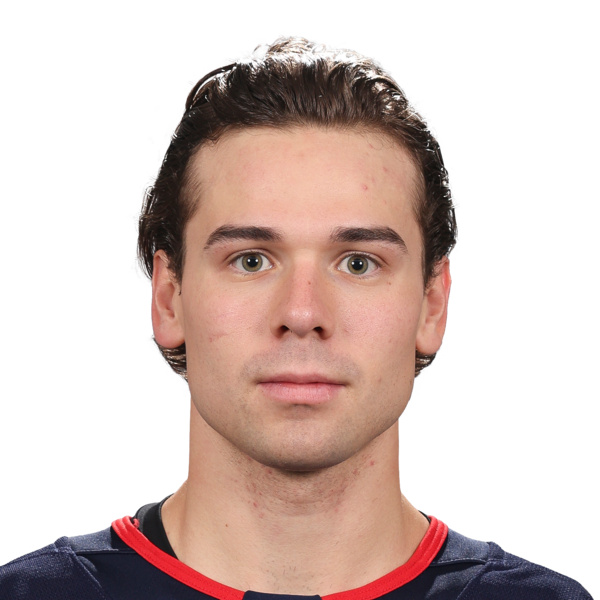GearGeek: NHL Hockey Equipment Stats Database